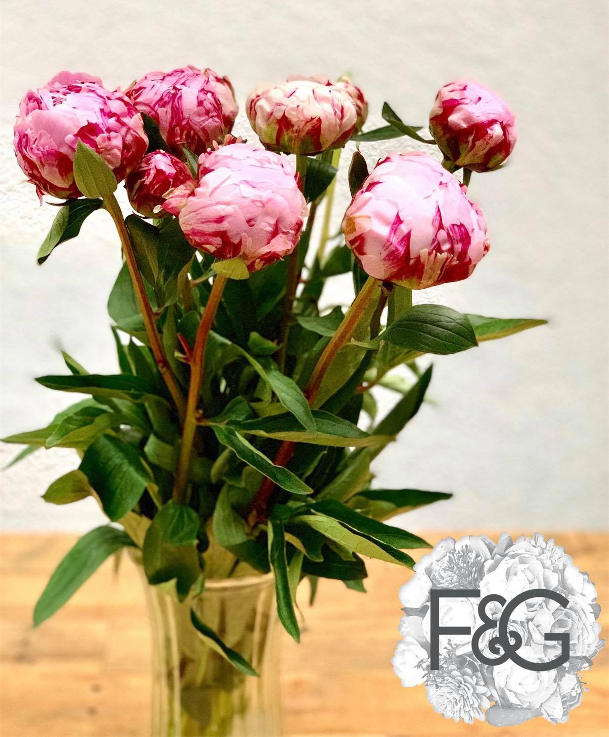 PEONY FACTS YOU’D LOVE TO KNOW